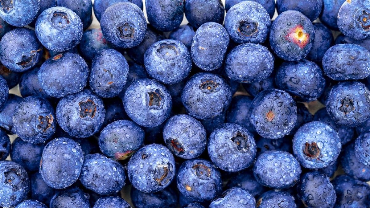 Punya Bejibun Manfaat, Blueberry Jadi Fruit of the Year 2022